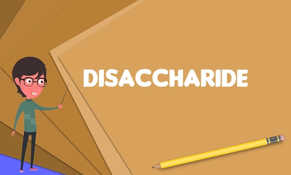 Disaccharides – Definition, Types, Models - Techcrums